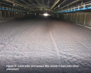 Windrowing properly done - Zootecnica | Poultry Magazine
