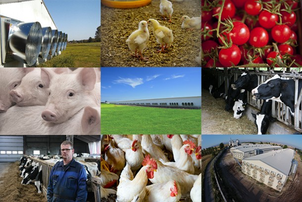 Feed Conversion Ratio (FCR) optimized for farmer profit