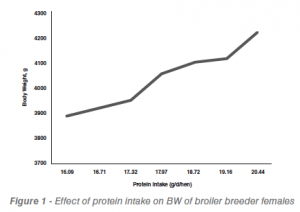 A new perspective on feeding broiler breeders - Zootecnica | Poultry ...