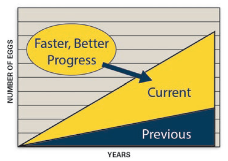 Hy-Line accelerates genetic progress across all lines