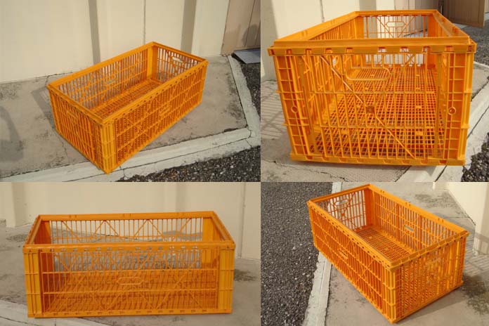 2018 VIV Europe: a big success for everybody! - Zootecnica | Poultry ...