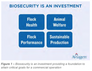 Biosecurity and surveillance in times of Avian Influenza - Zootecnica ...