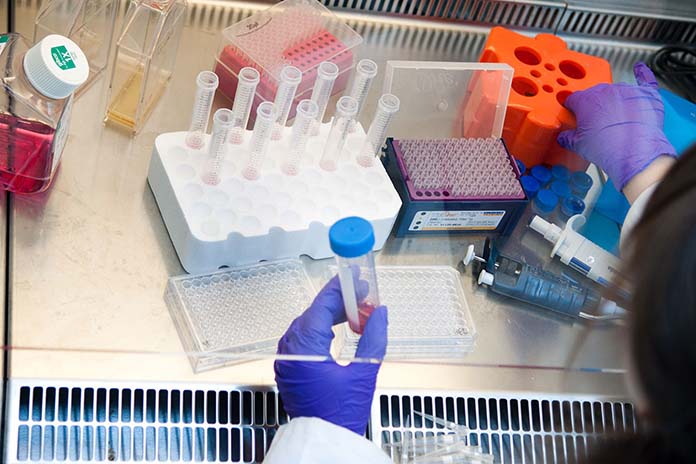 Understanding resistance to different Infectious Bronchitis virus ...