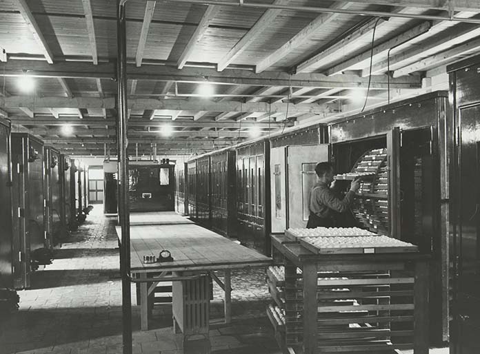 Pas Reform: Celebrating 100 years in the hatchery business