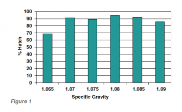 Measuring egg shell quality - Zootecnica | Poultry Magazine
