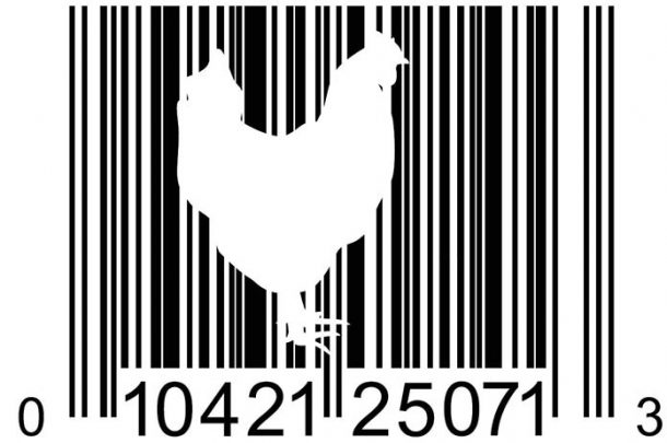 Automated data gathering drives food safety - Zootecnica | Poultry Magazine
