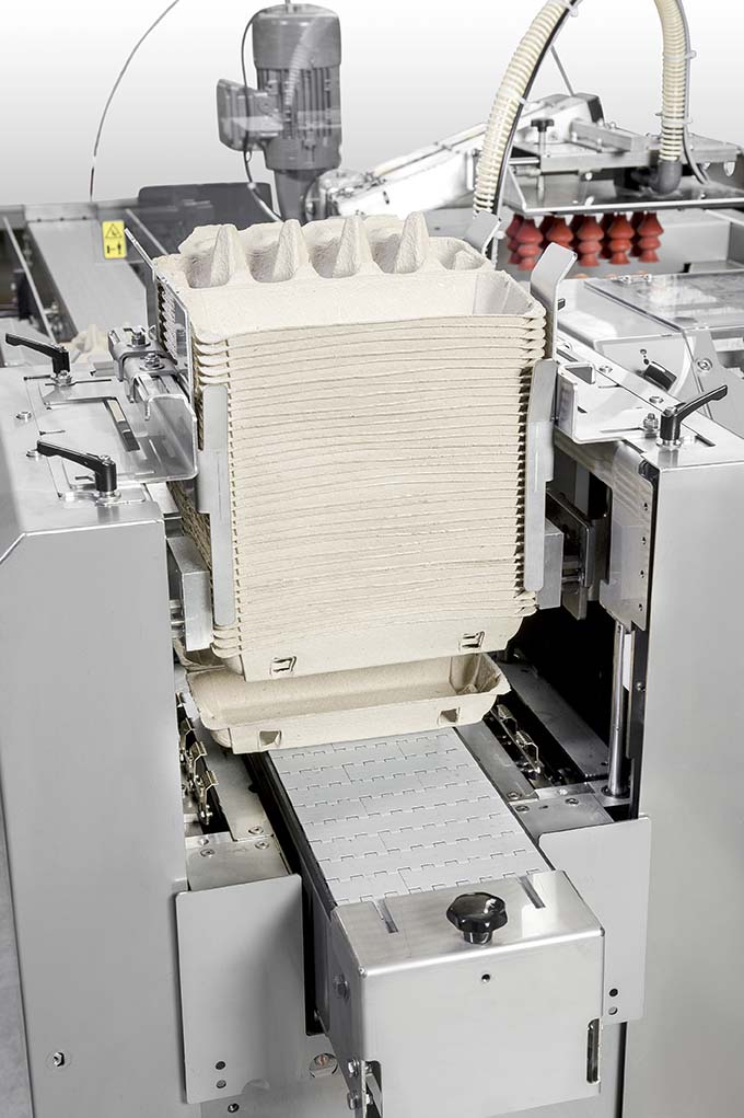 Prinzen’s new egg Carton Packing Module - Zootecnica | Poultry Magazine