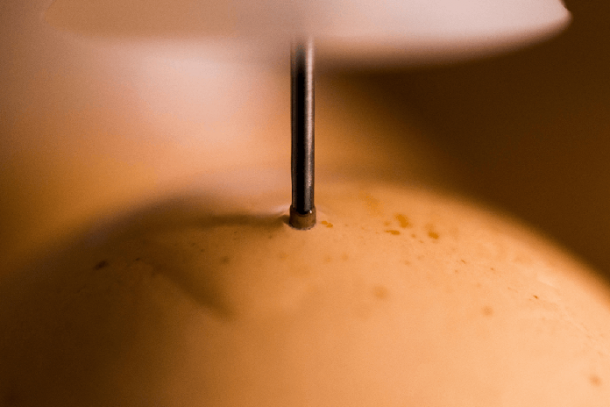 Research provides new understanding of ILT vaccines - Zootecnica ...