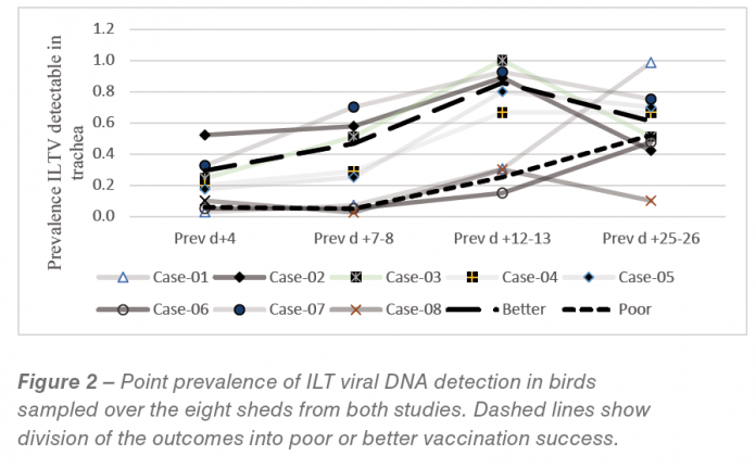 Field vaccination against ILT in broiler chickens: lack of consistency ...