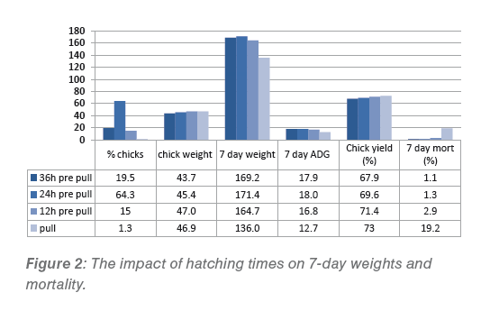 Steps to ensure a good chick quality at all levels