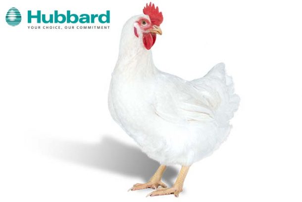 Hubbard outlines the main features of their new product: the Hubbard ...