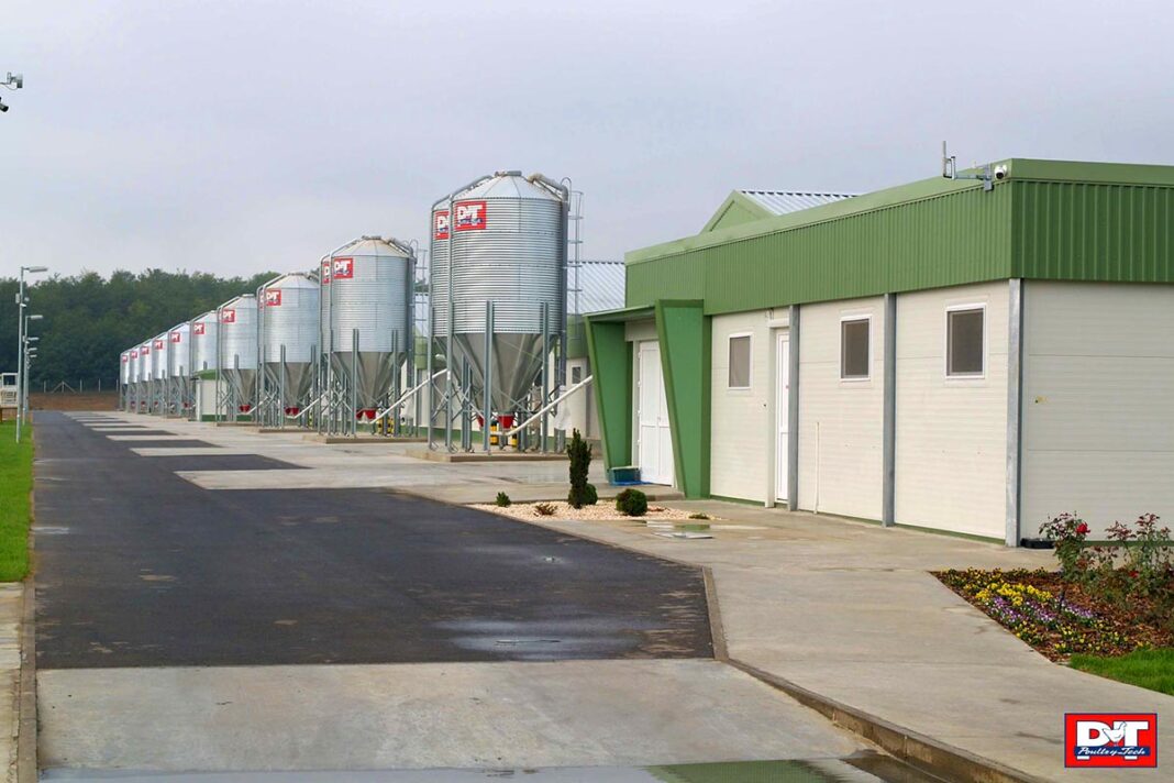 Codaf, producers of advanced feeding systems for poultry - Zootecnica ...