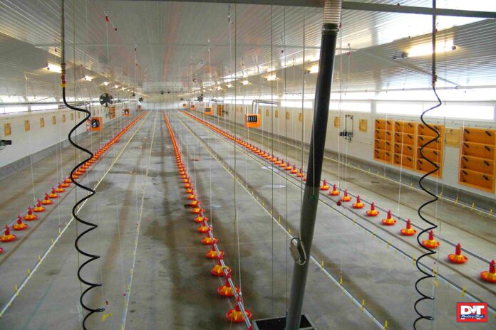 Codaf, producers of advanced feeding systems for poultry - Zootecnica | Poultry Magazine
