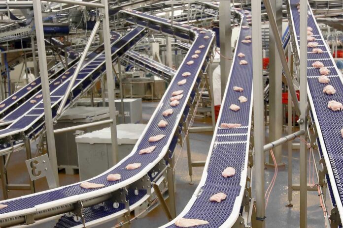 How to automate food safety in the poultry industry? - Zootecnica | Poultry Magazine