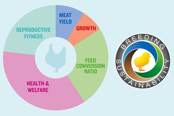 Sustainable poultry production through responsible, balanced breeding ...