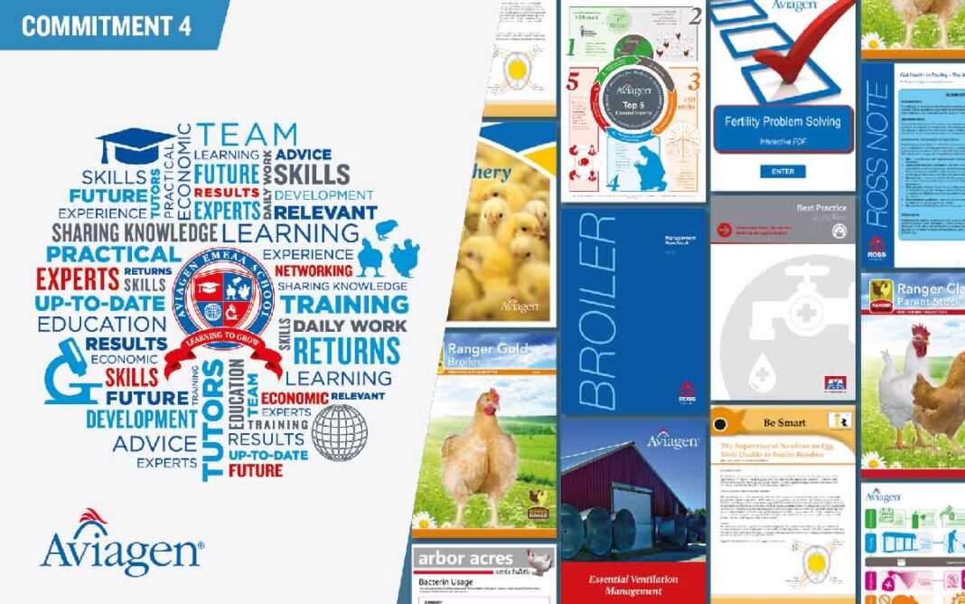 Management and stockmanship – Essential to sustainable poultry ...