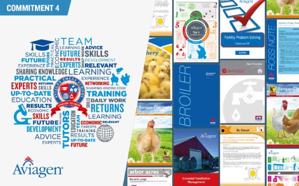 Management and stockmanship – Essential to sustainable poultry ...