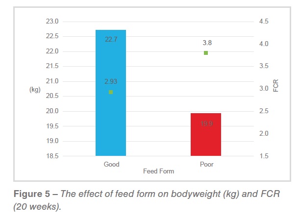 Feed physical quality - Zootecnica | Poultry Magazine