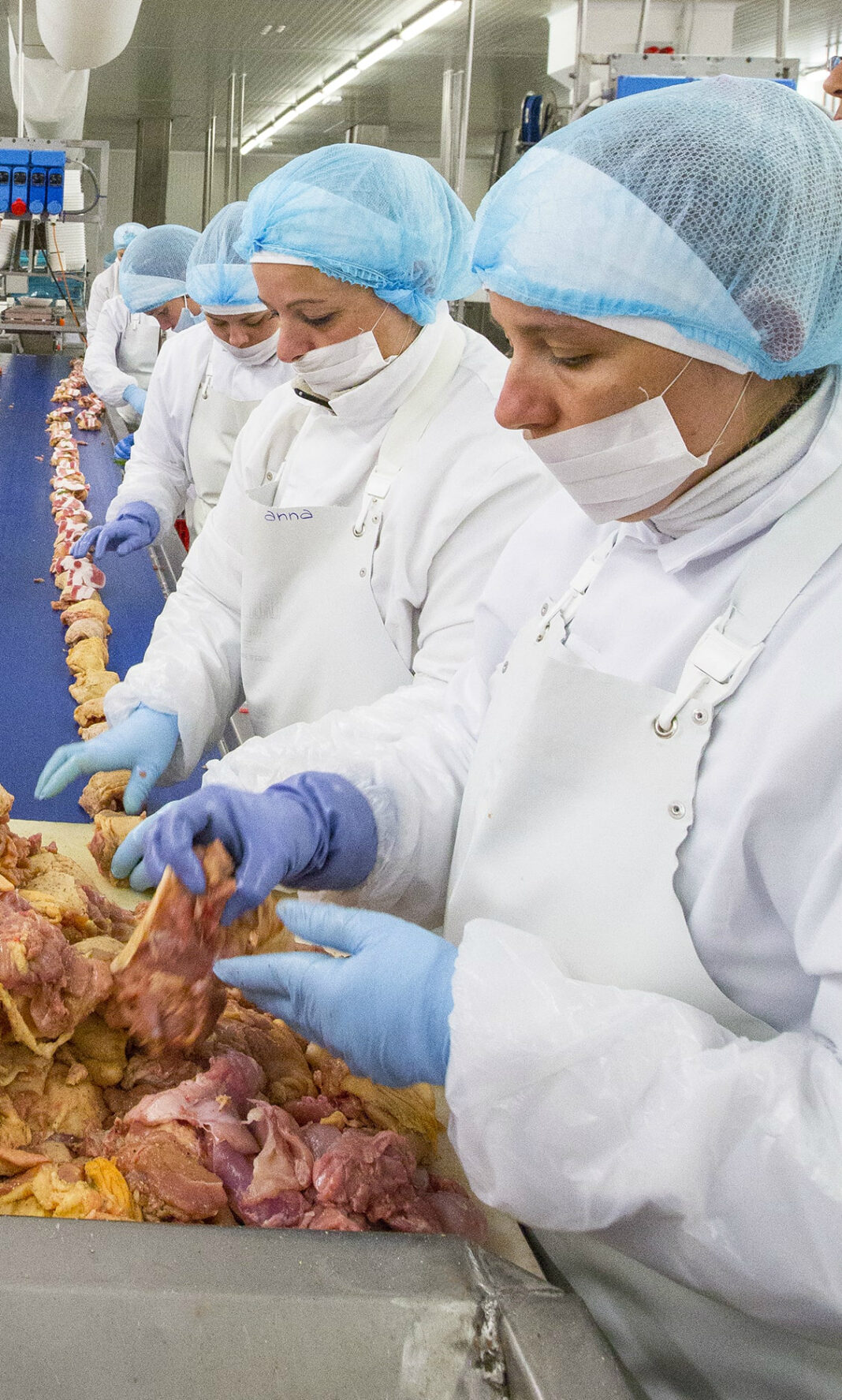 Poultry processing ergonomics - Zootecnica | Poultry Magazine