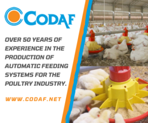 Homepage - Zootecnica | Poultry Magazine