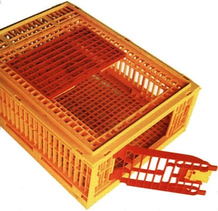 VIV Asia 2025: the premier hub for the animal protein industry ...