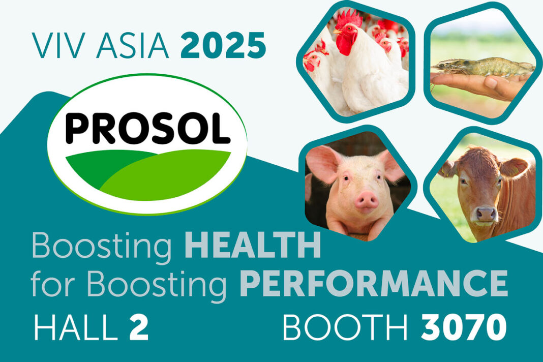 VIV Asia 2025: the premier hub for the animal protein industry - Zootecnica | Poultry Magazine