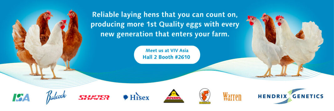 VIV Asia 2025: the premier hub for the animal protein industry ...