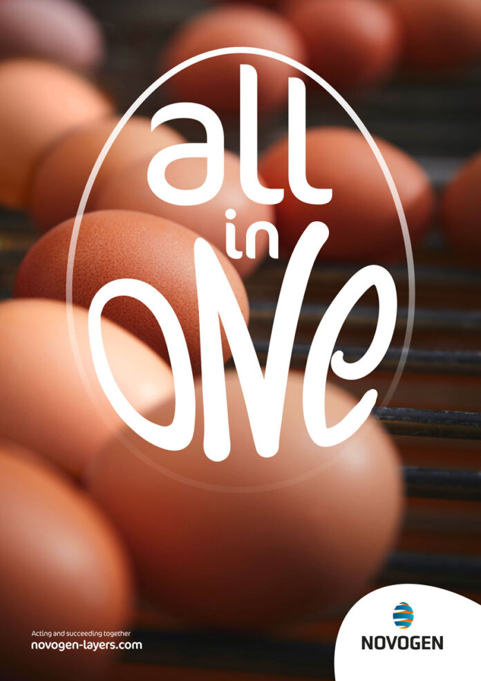 VIV Asia 2025: the premier hub for the animal protein industry ...