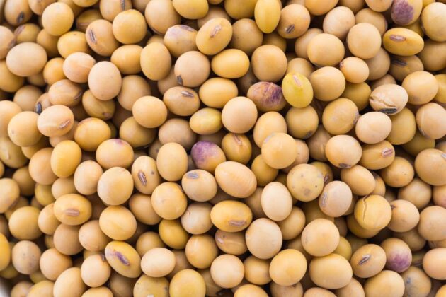 FEFAC Warns of Soy Supply Disruptions in EU