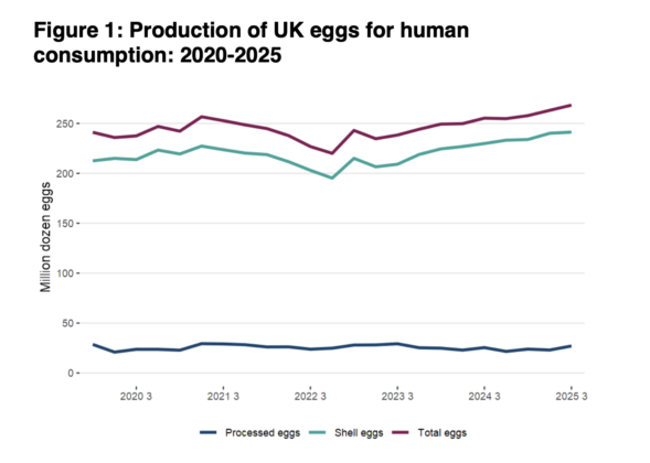 UK Egg Market Q3 2025: Production and Trade Update