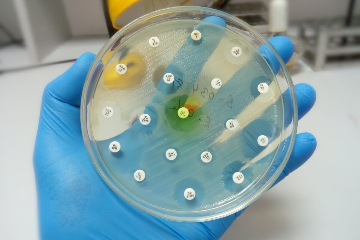 EFSA: bacteria growth in meat during chilling, storage